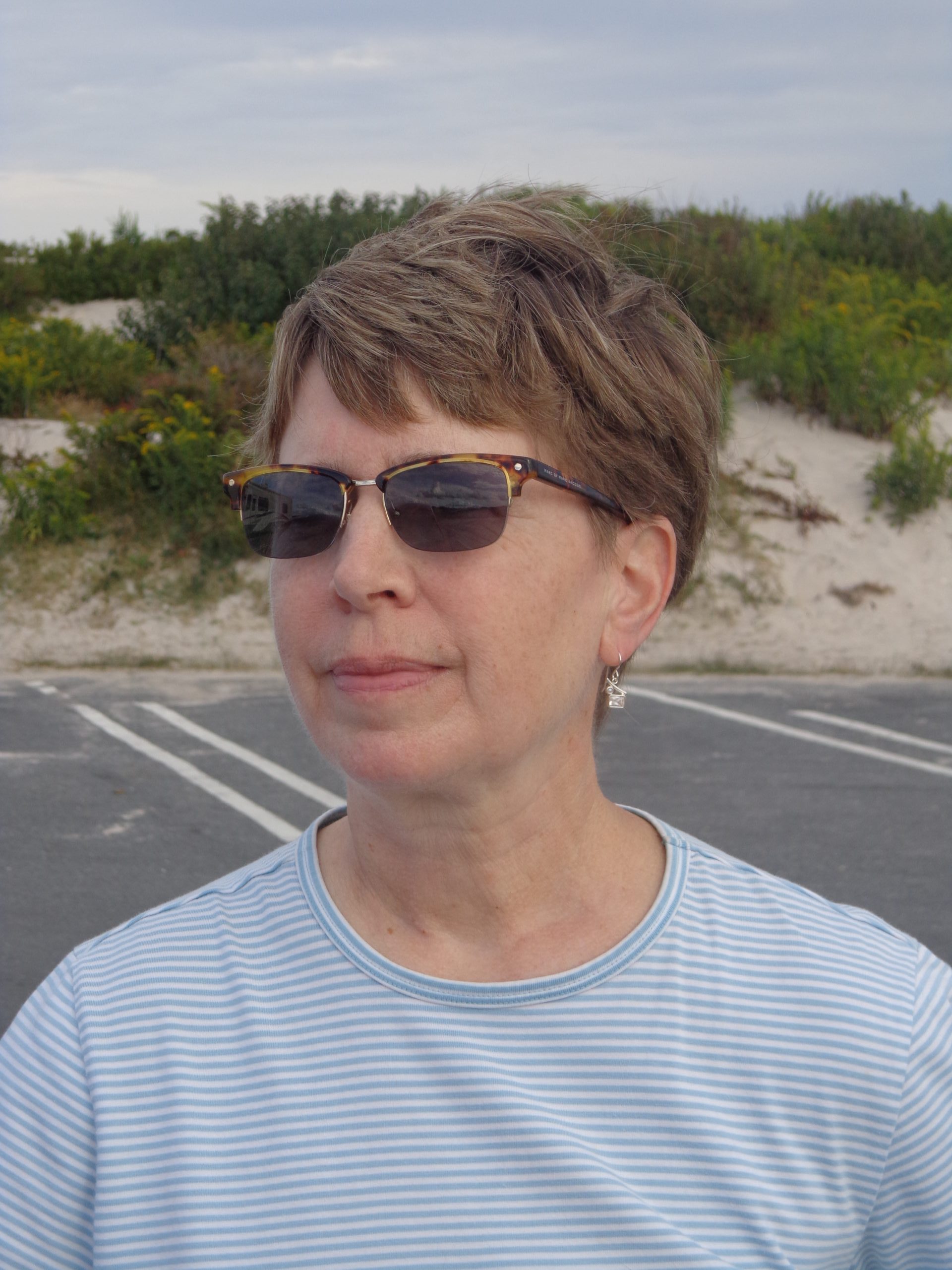 Fields of Hveen by Barbara Sabol