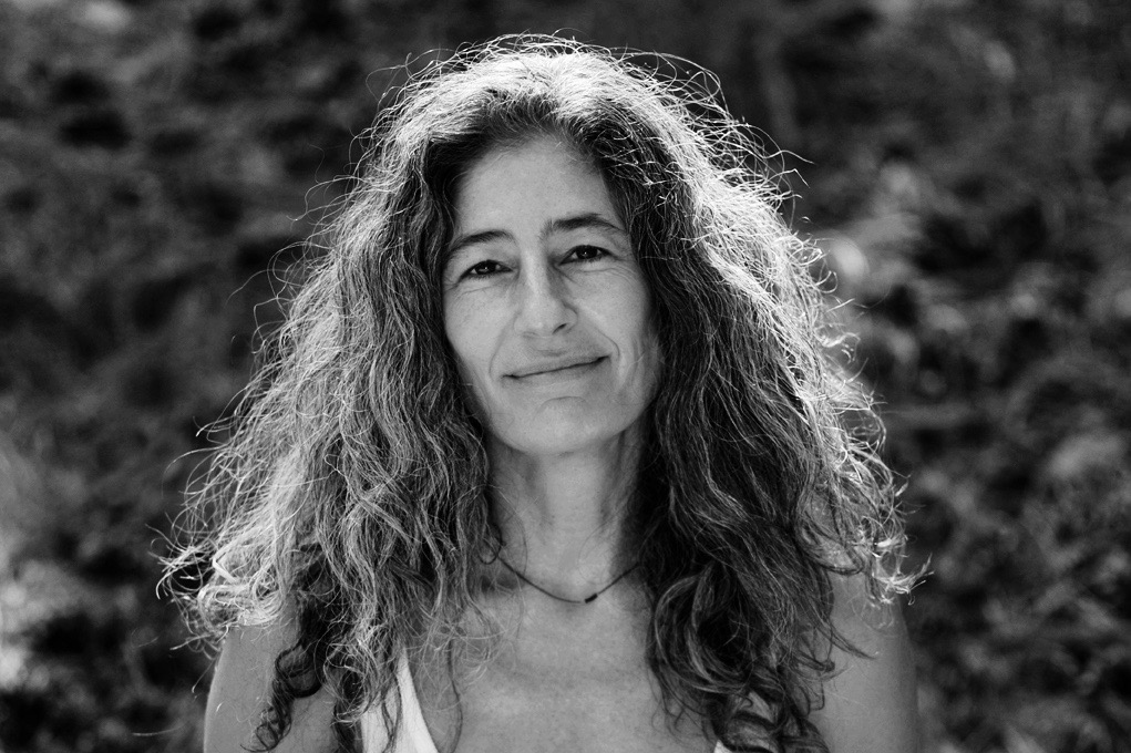 The Cows by Elizabeth Jacobson