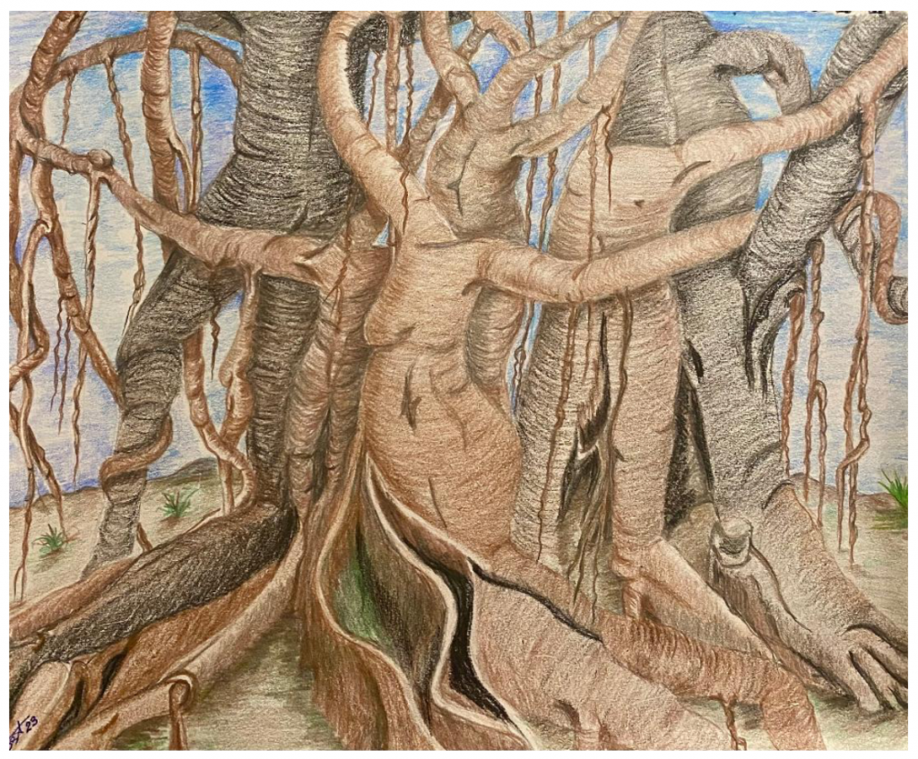 Bearded Fig Tree: A Symbol of Struggle and Survival by Elizabeth Best